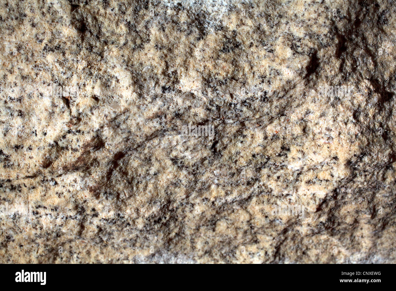 Surface of the multi-colored limestone. texture close-up Stock Photo ...