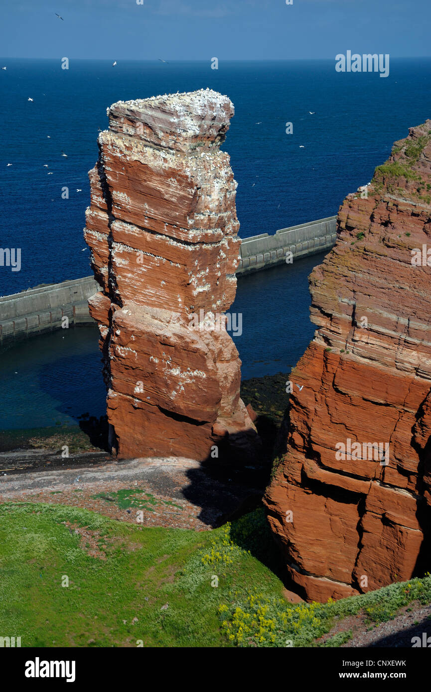 Lange Anna in the north of Helgoland, Germany, Schleswig-Holstein ...