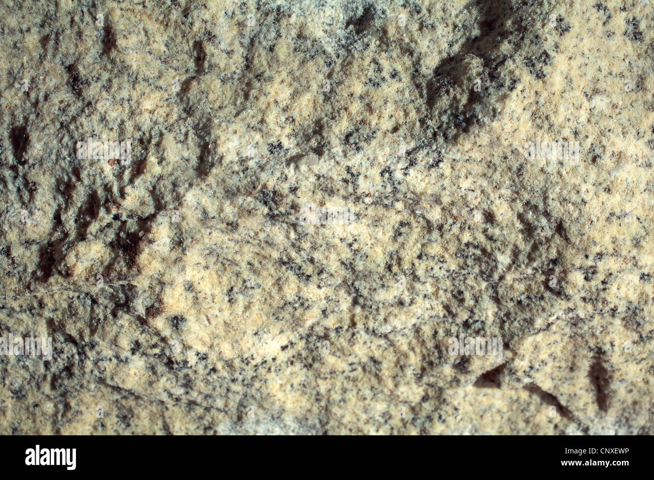 Surface of the multi-colored limestone. texture close-up Stock Photo ...