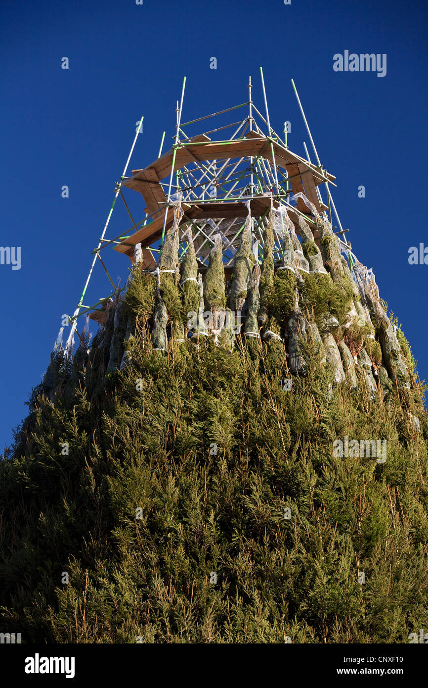 construction of teh christmas tree on hansa square, Hansaplatz of ...