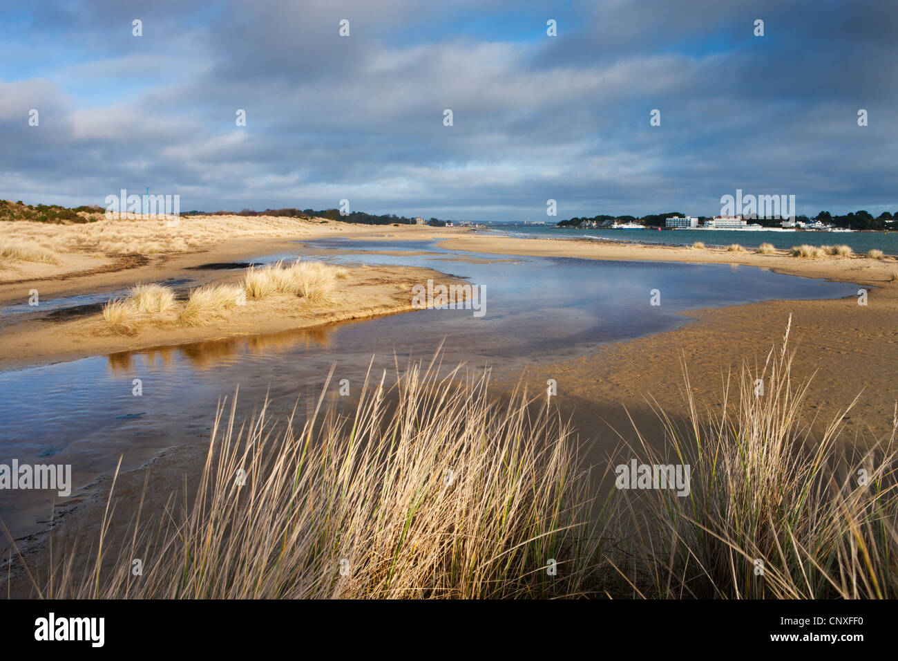 Shell Bay looking towards Sandbanks, Studland, Dorset, England. Winter ...