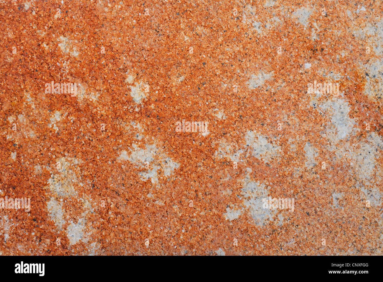surface of the multi-colored limestone. texture close-up Stock Photo ...