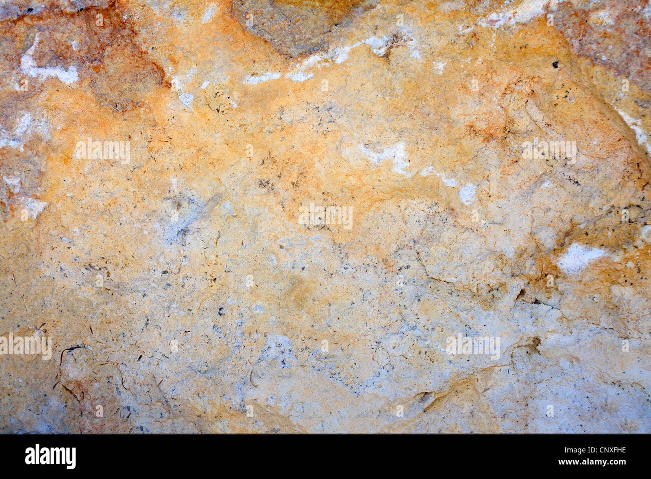 surface of the multi-colored limestone. texture close-up Stock Photo ...