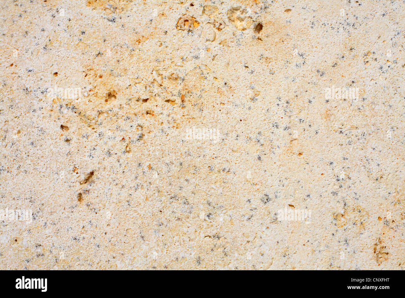 surface of the multi-colored limestone. texture close-up Stock Photo ...