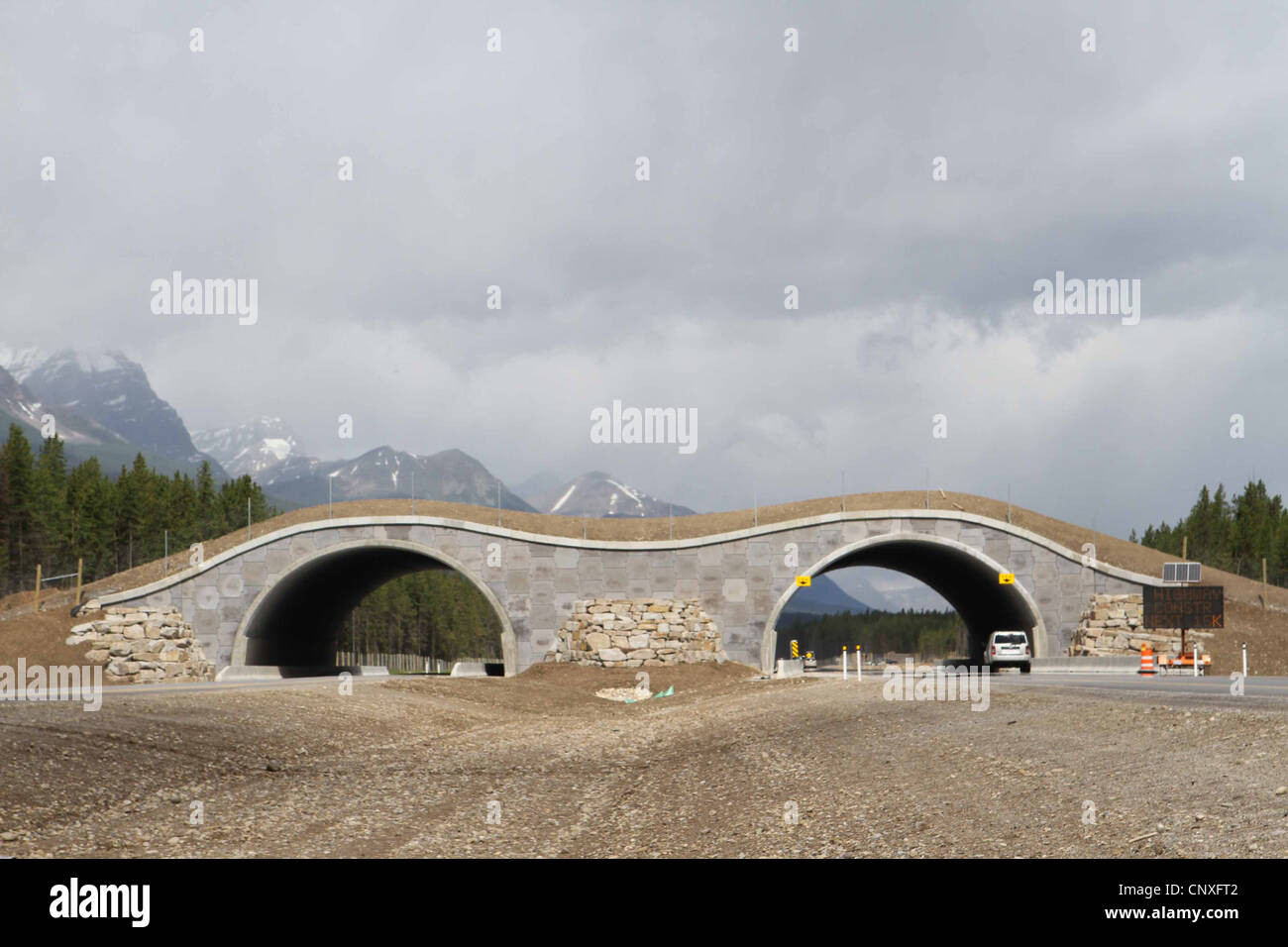 WILDLIFE CROSSING, Banff National Park, Alberta Canada Stock Photo - Alamy
