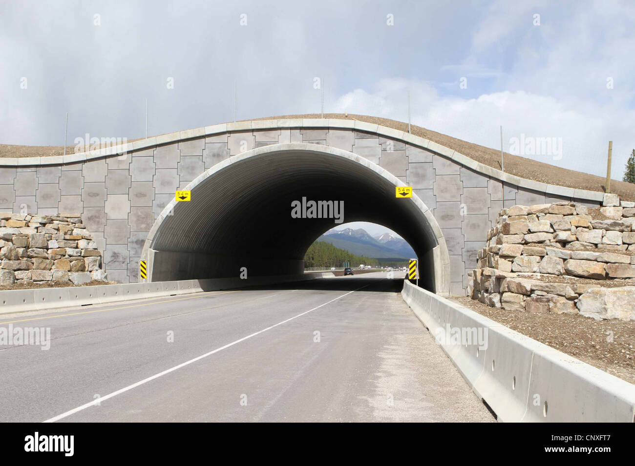 WILDLIFE CROSSING, Banff National Park, Alberta Canada Stock Photo - Alamy