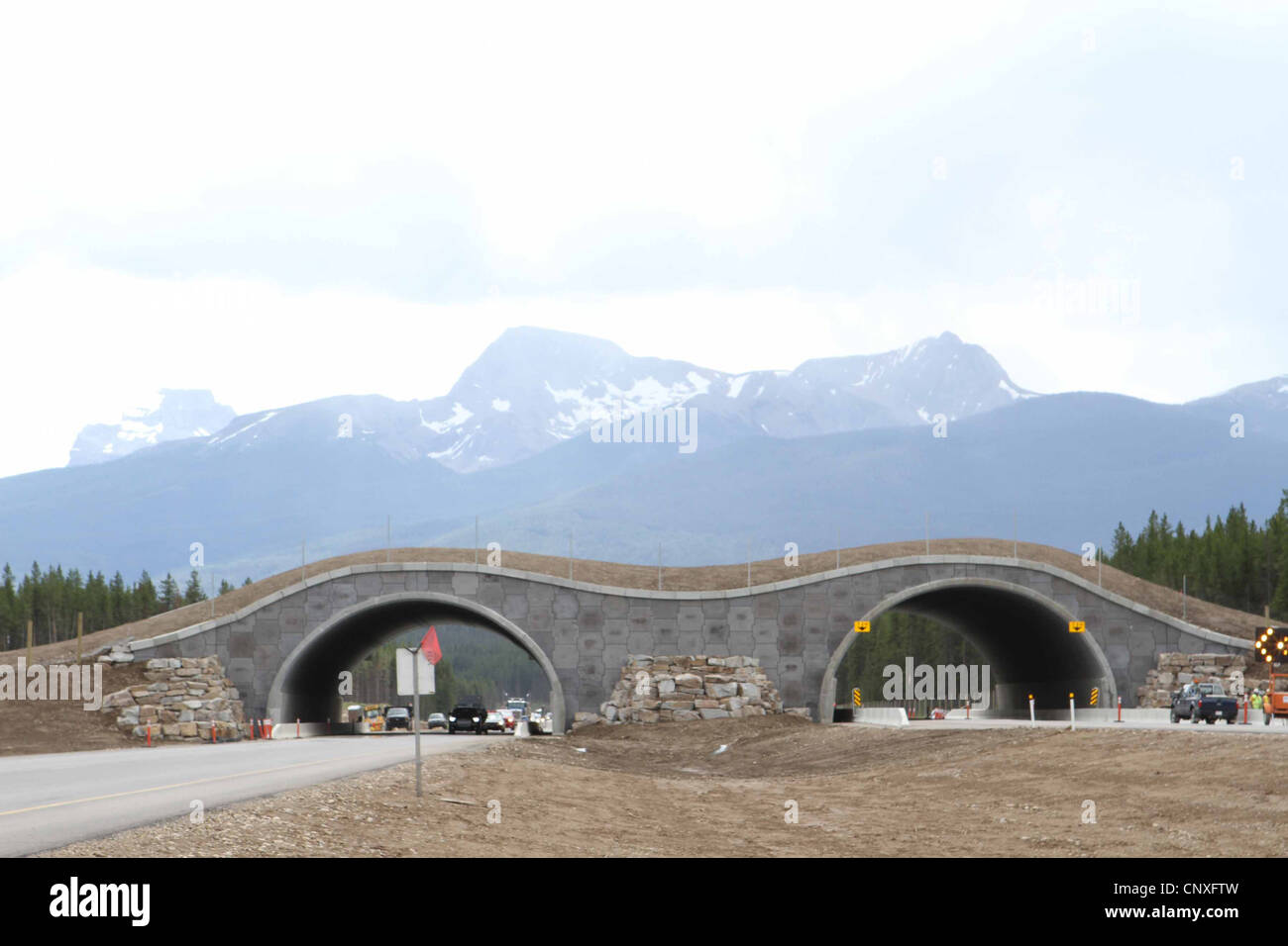 WILDLIFE CROSSING, Banff National Park, Alberta Canada Stock Photo - Alamy