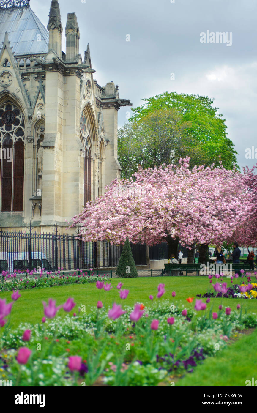 Notre Dame cathedral in Paris France Stock Photo - Alamy