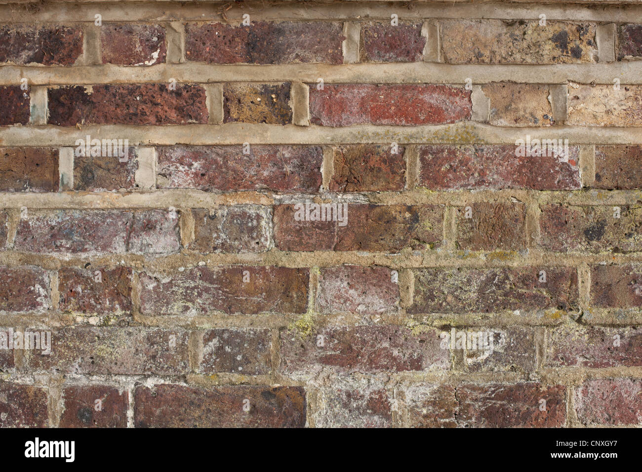 Rule and divide hi-res stock photography and images - Alamy