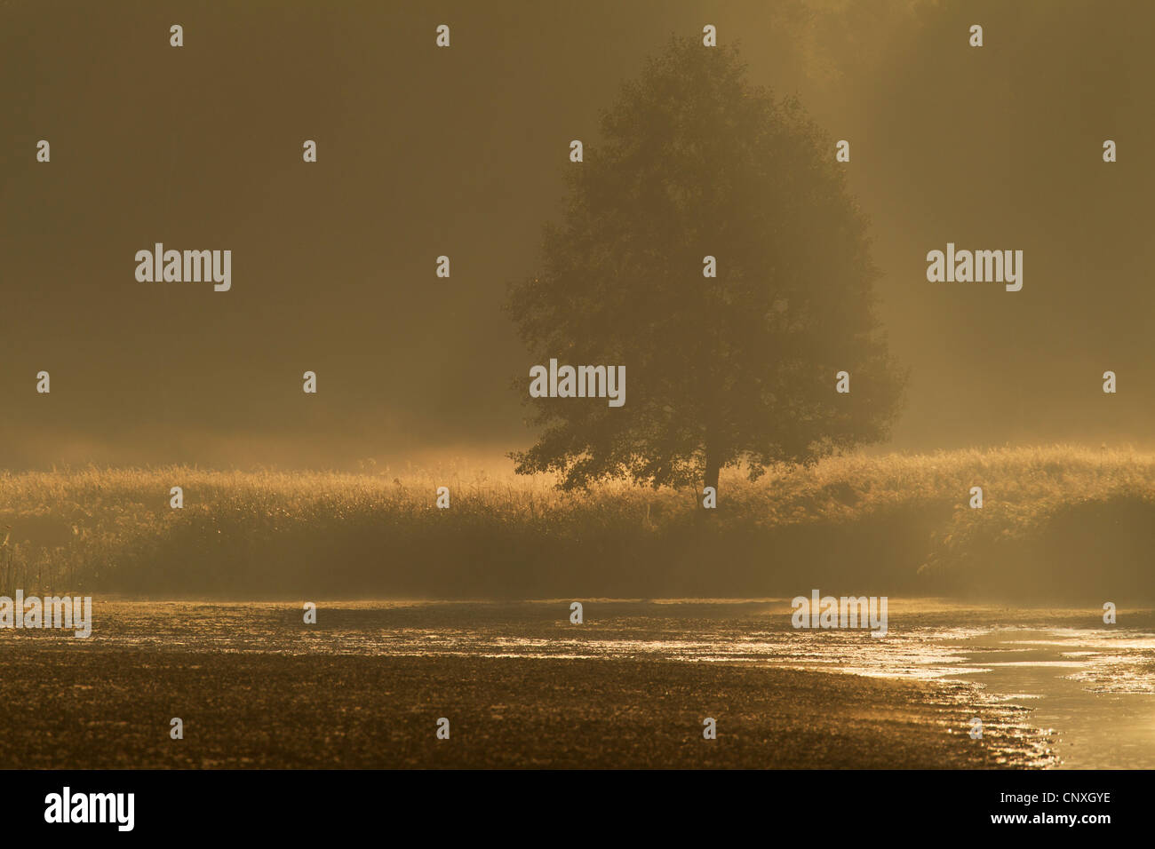Ambience hi-res stock photography and images - Alamy