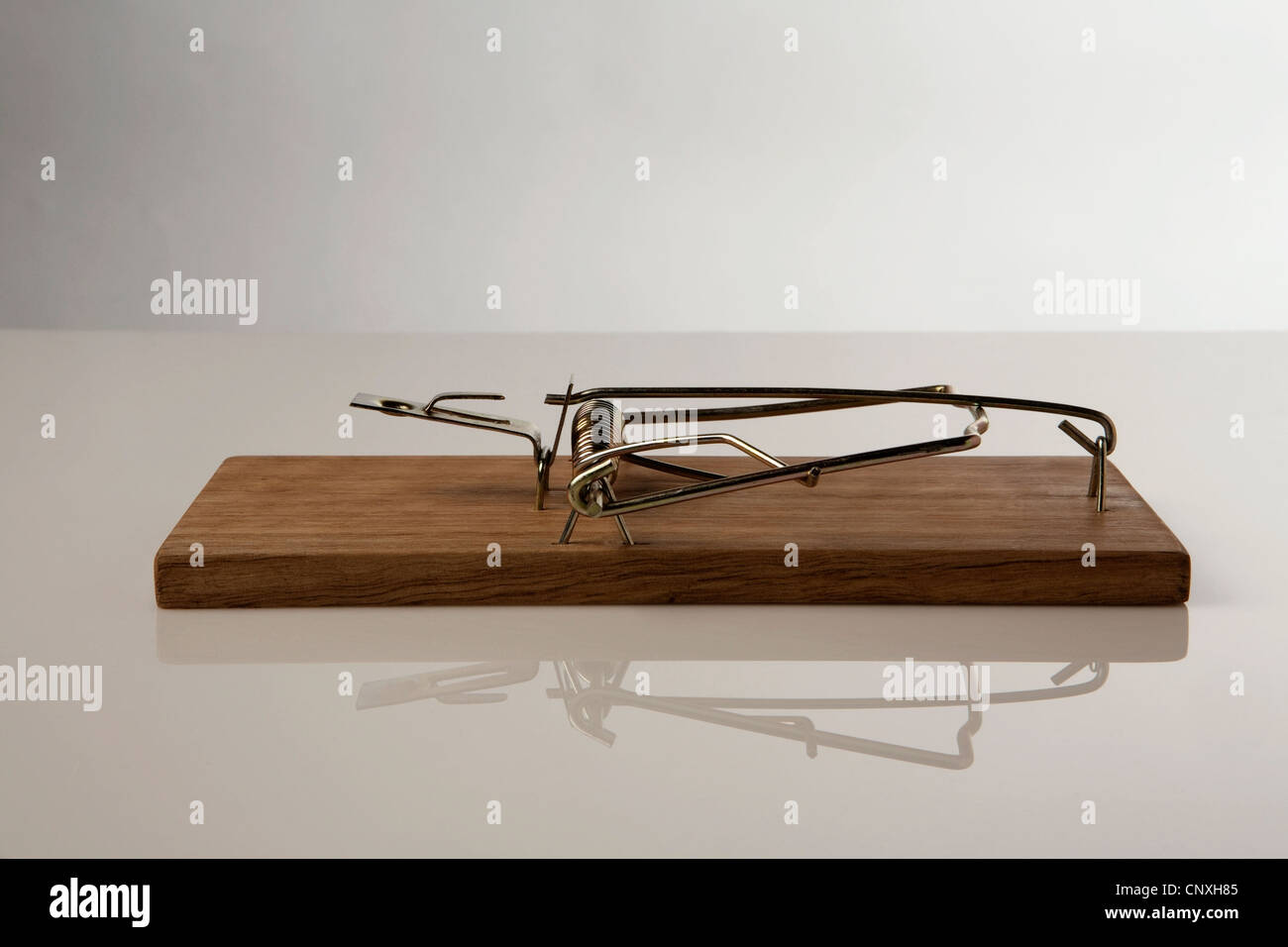close up of mouse trap on plain white background Stock Photo - Alamy
