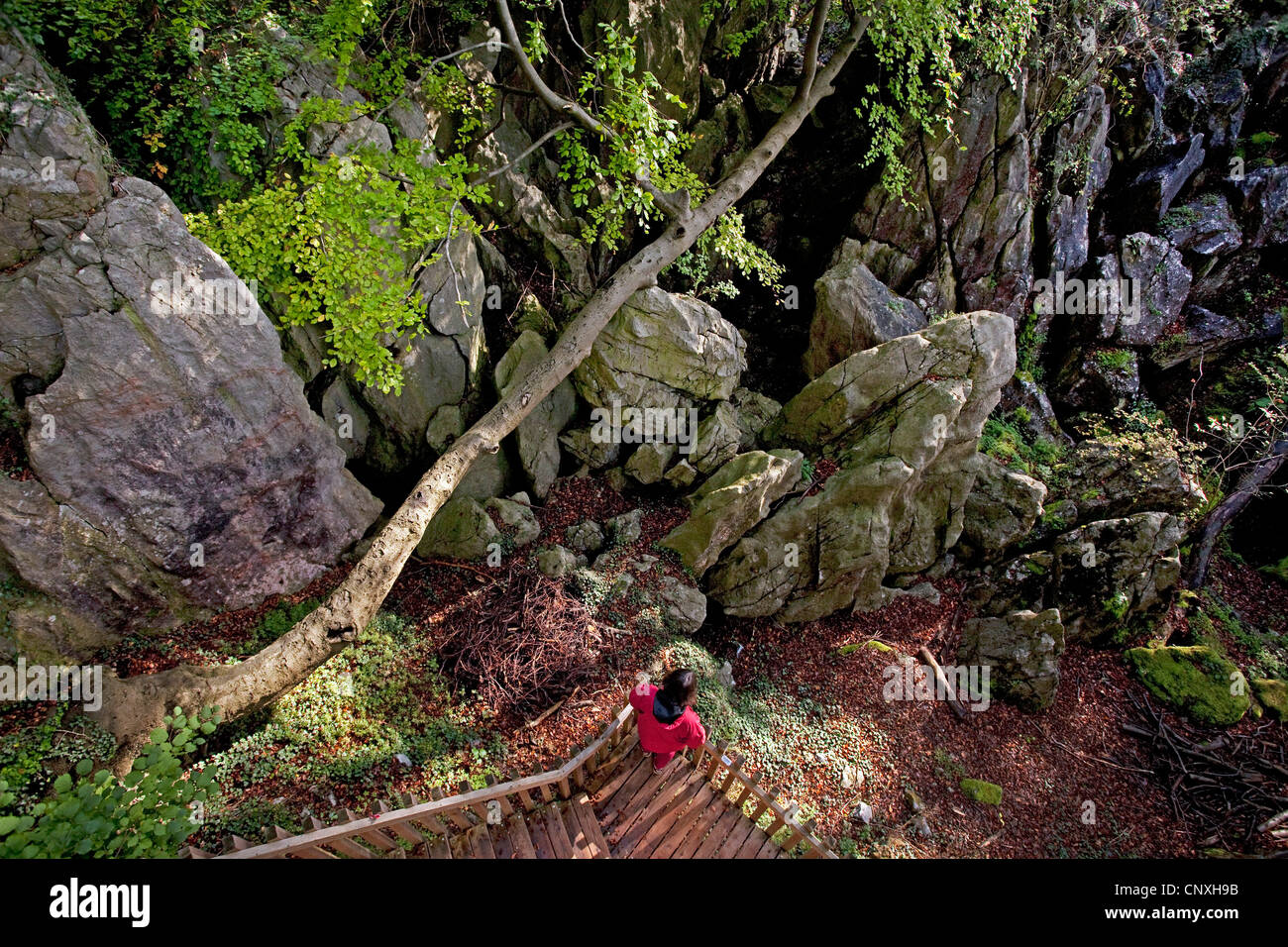 Felsenmeer Hemer, Germany, North Rhine-Westphalia, Sauerland, Hemer ...