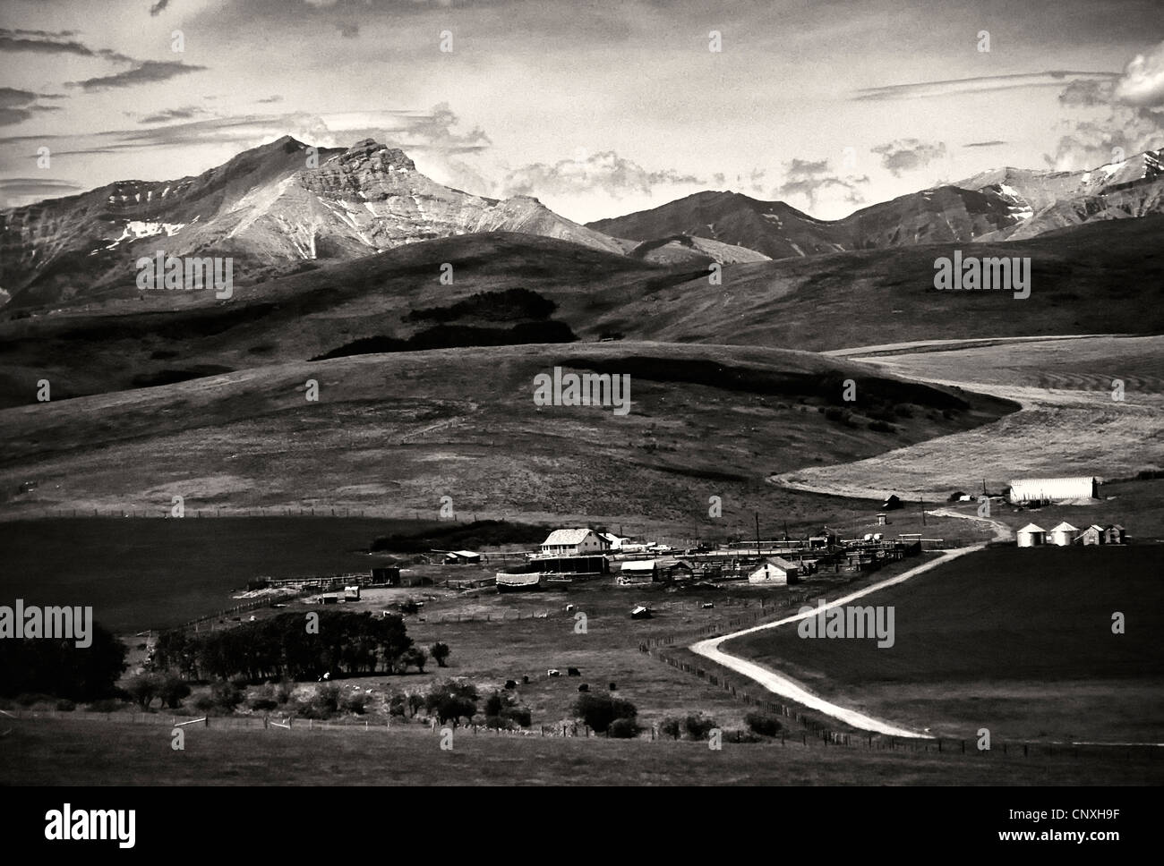 A perfect location for an Alberta ranch surrounded by the gentle ...