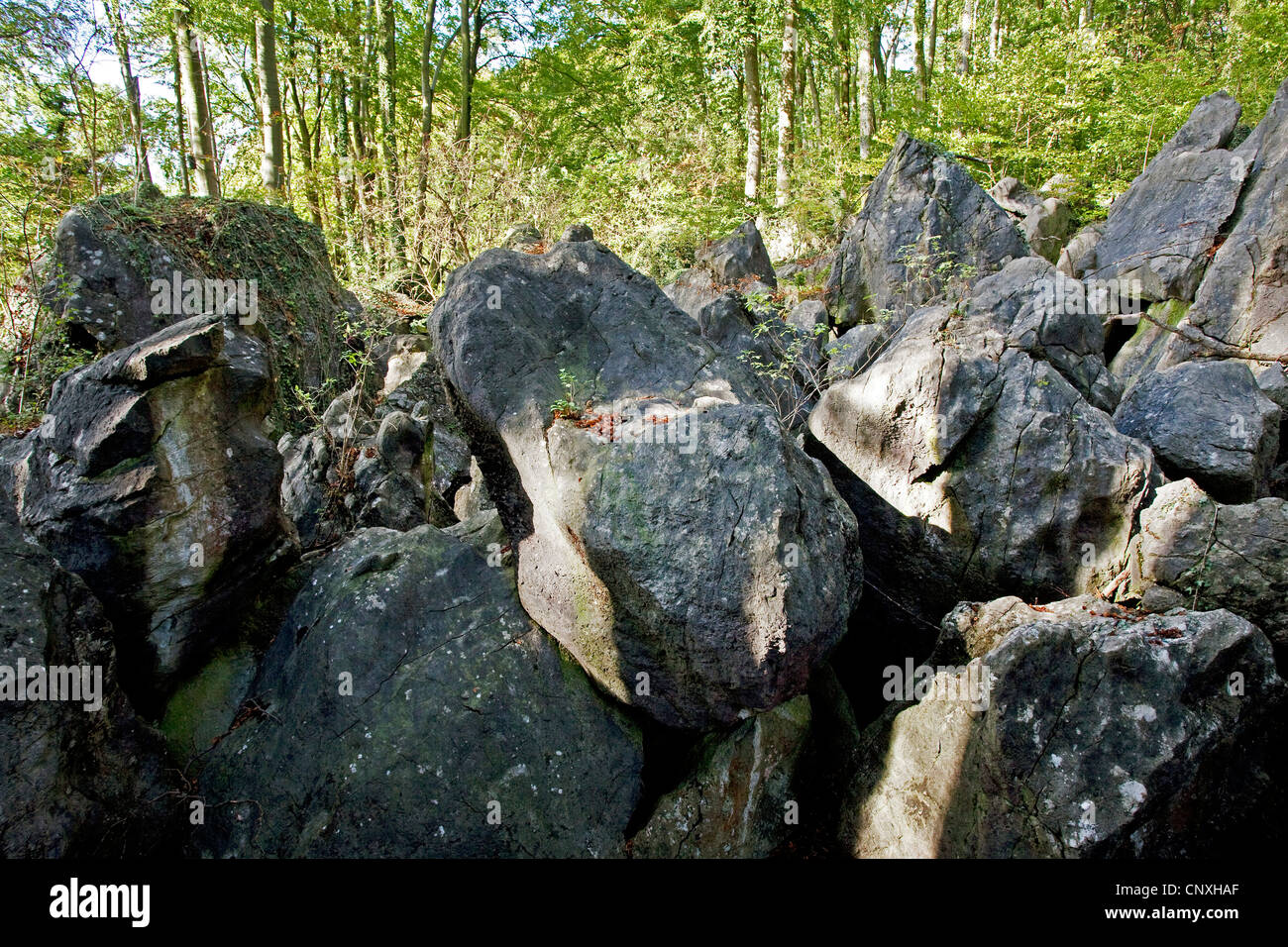 Felsenmeer Hemer, Germany, North Rhine-Westphalia, Sauerland, Hemer ...