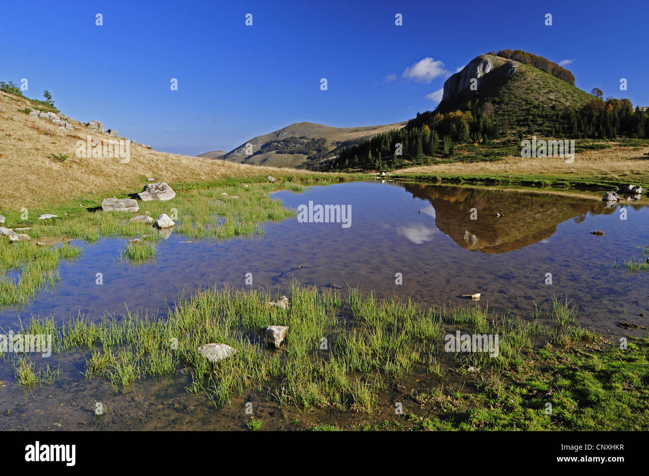 Biogradska gora hi-res stock photography and images - Alamy