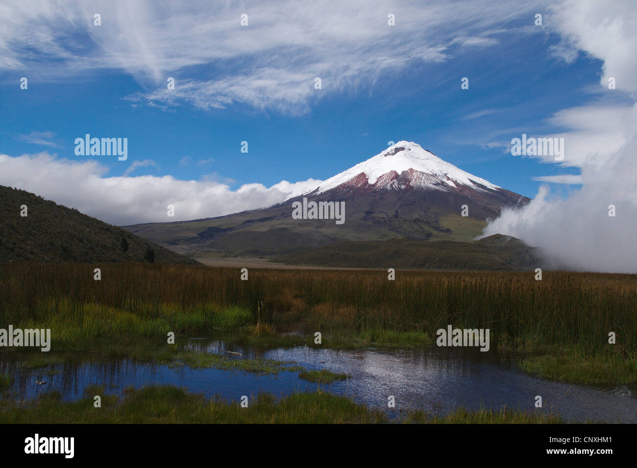 Cotopaxi volcano, Ecuador, Andes, Cotopaxi National Park Stock Photo ...