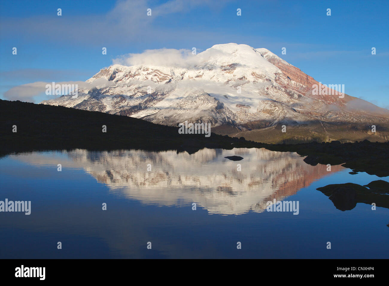 Chimborazo vulcano, highest mountain of Ecuador, Ecuador, Andes Stock ...