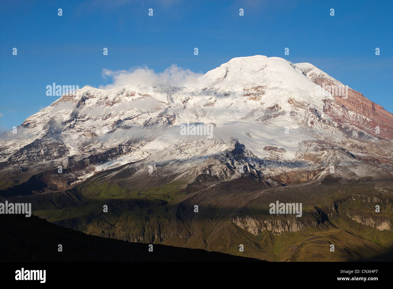 Chimborazo vulcano, highest mountain of Ecuador, Ecuador, Andes Stock ...