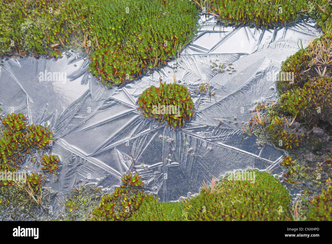 Ecuador water hi-res stock photography and images - Alamy
