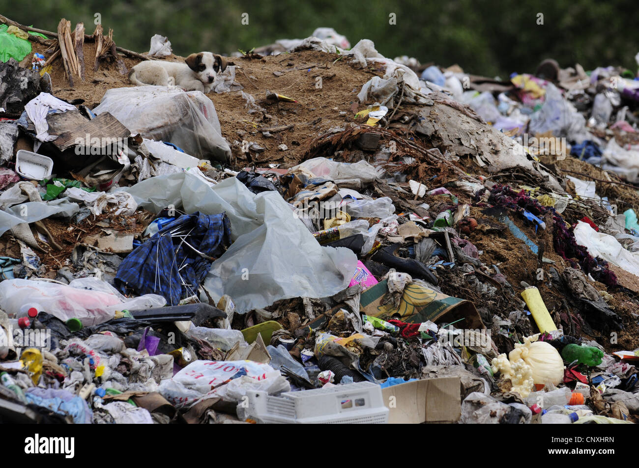 Animal waste management hi-res stock photography and images - Alamy