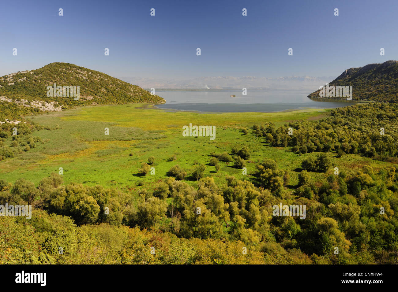 panoramic view on Lake Skadar, Montenegro, Skutarisee Stock Photo - Alamy