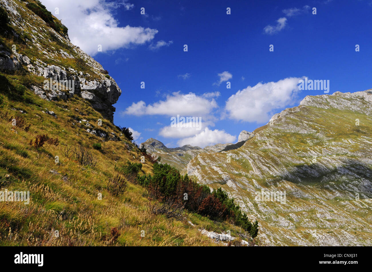Montenegrin national parks hi-res stock photography and images - Alamy
