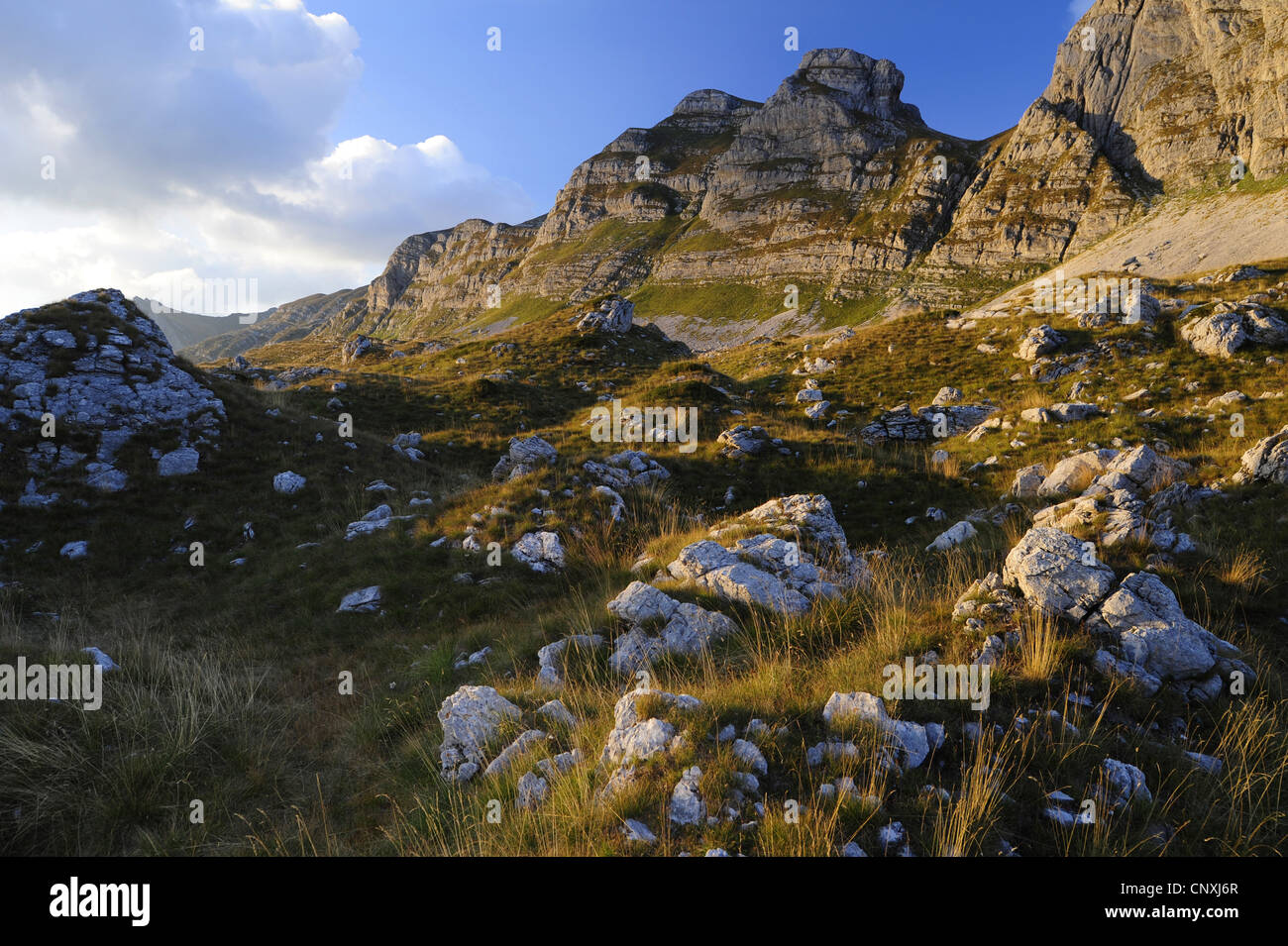Montenegro national park durmitor hi-res stock photography and images ...