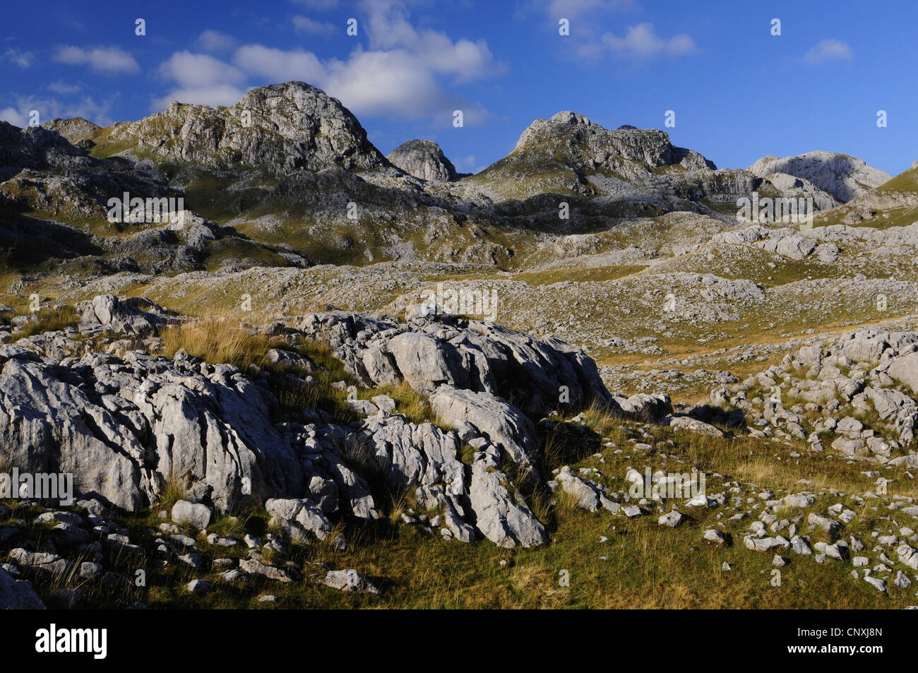 slope with boulders and rough meadow in a karst scenery, Montenegro ...