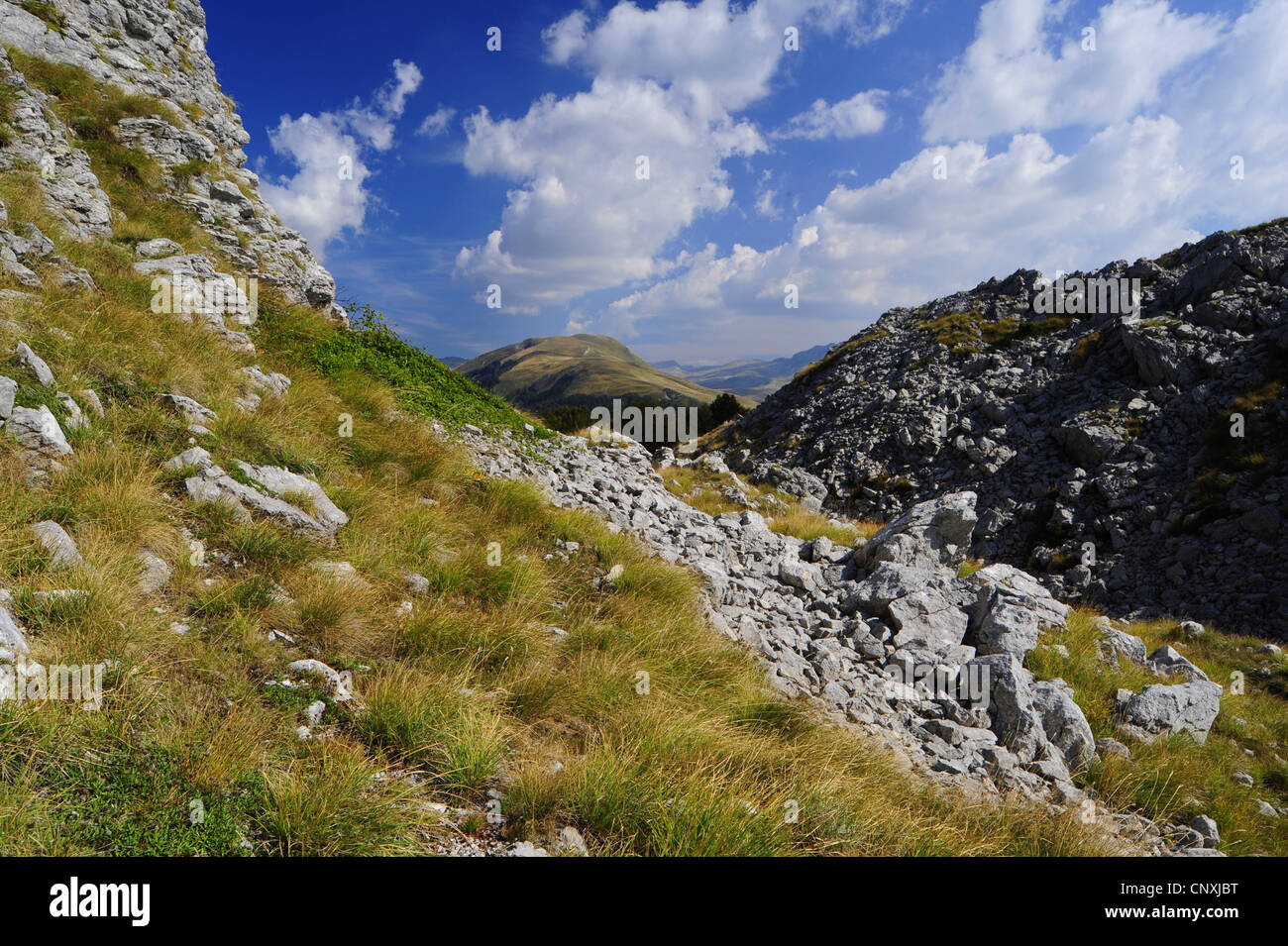 Panoramic view over woody hi-res stock photography and images - Alamy