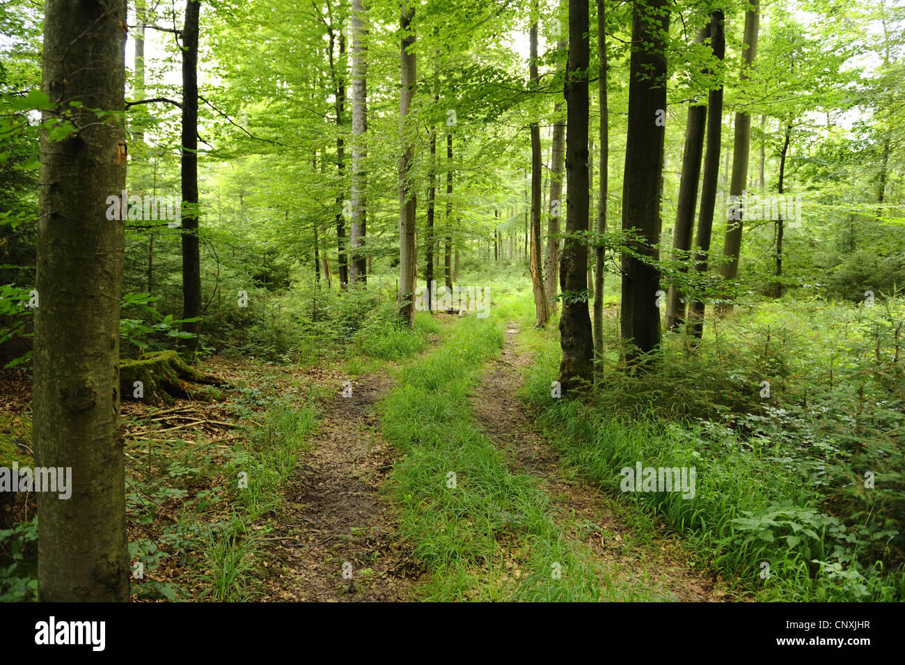 Bavaria spring hi-res stock photography and images - Alamy