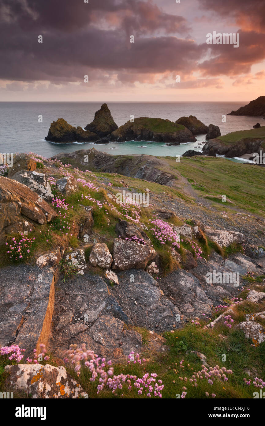 South west coast path cornwall spring hi-res stock photography and ...