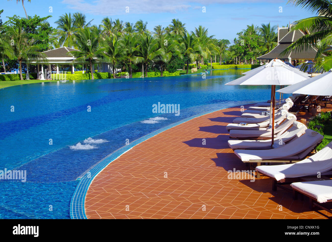 tropical swimming pool with coconut tree and white umbrella Stock Photo ...