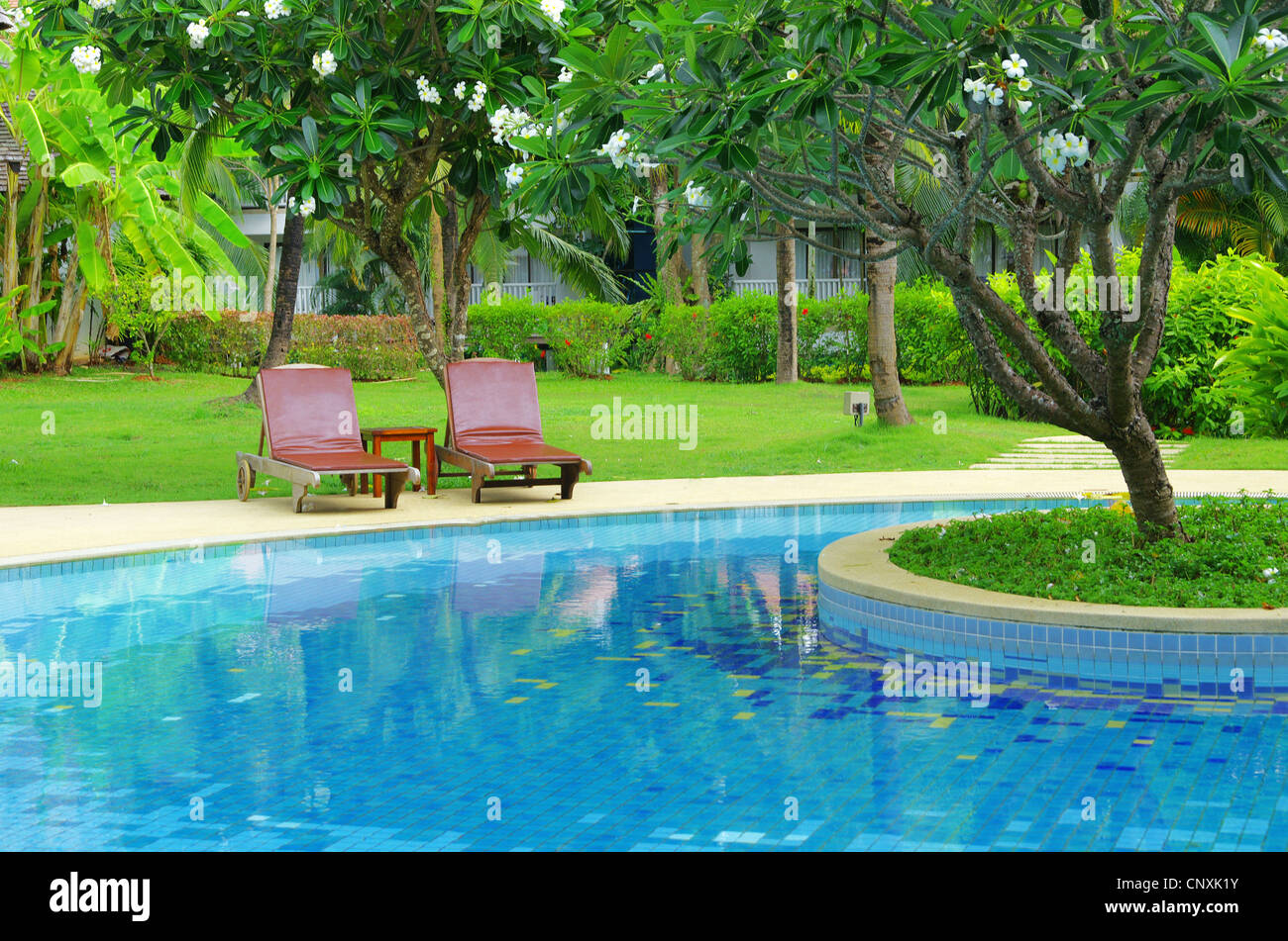 Beautiful swimming pool in Thailand Stock Photo - Alamy