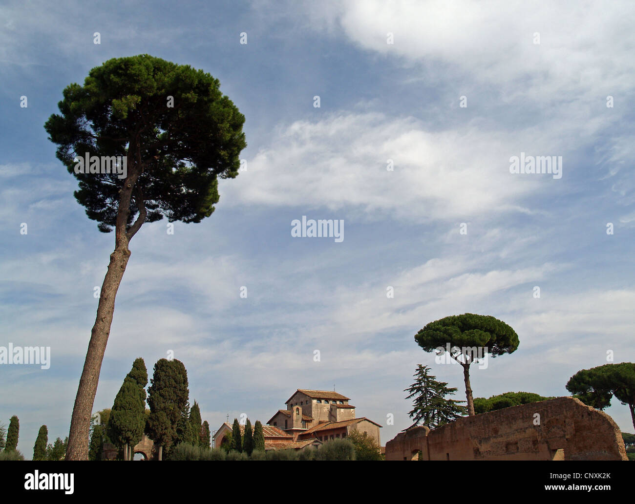 Umbrella Pines Rome High Resolution Stock Photography and Images - Alamy