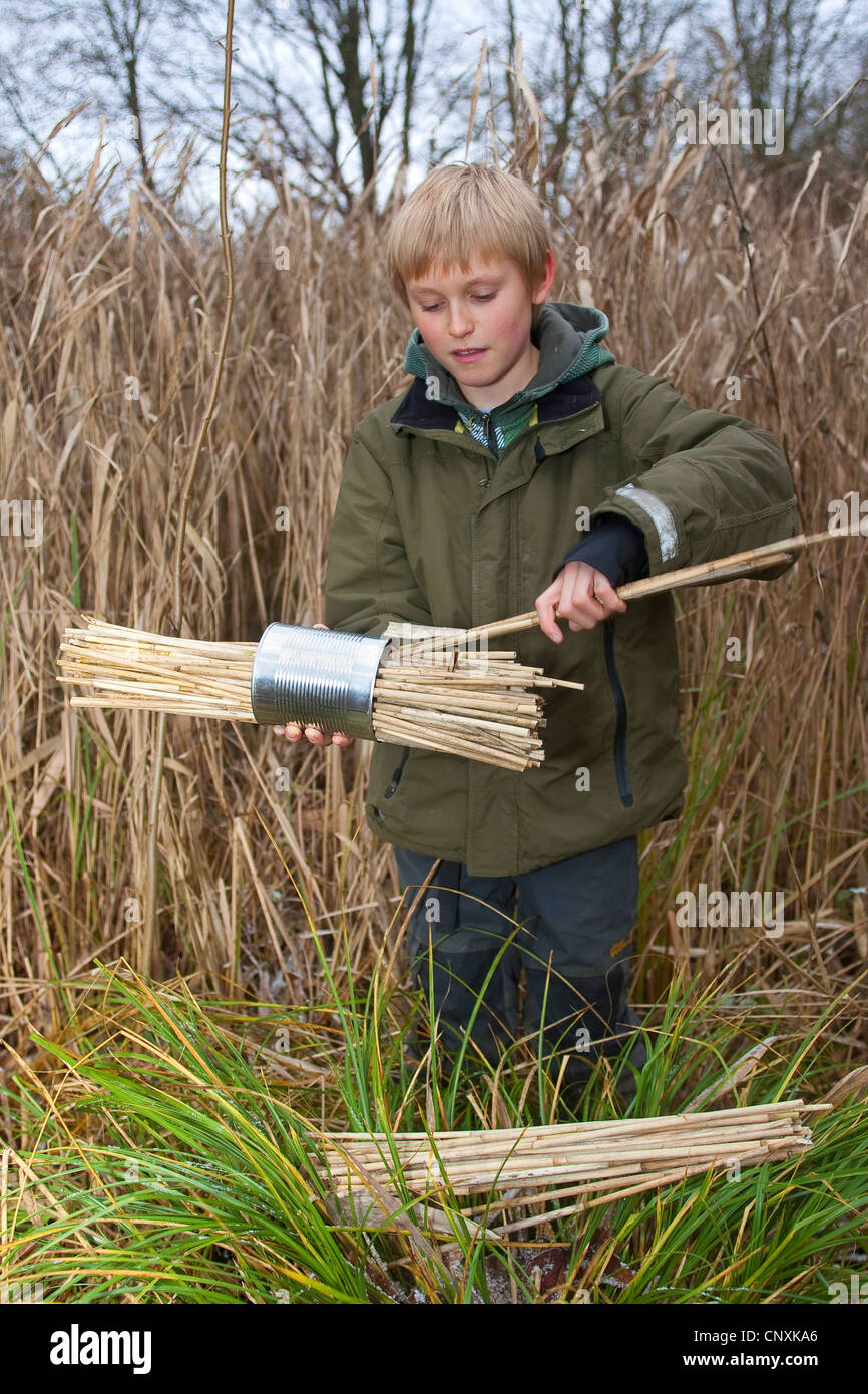 boy collecting material for building a insect hotel, Germany Stock ...