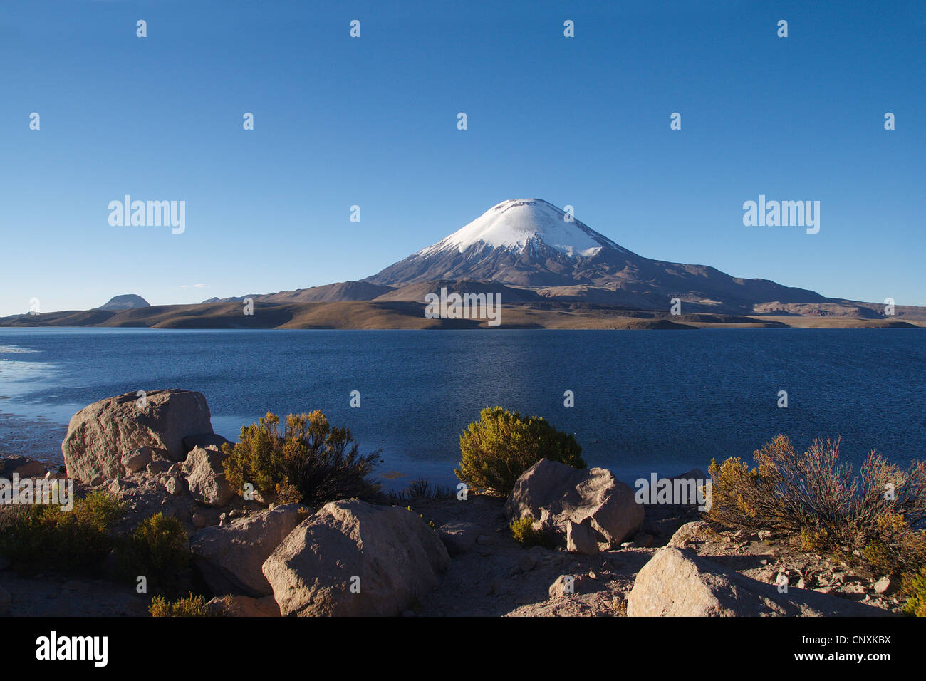 Parinacota volcano and Chungar Lake, Chile, Andes, Lauca National Park ...
