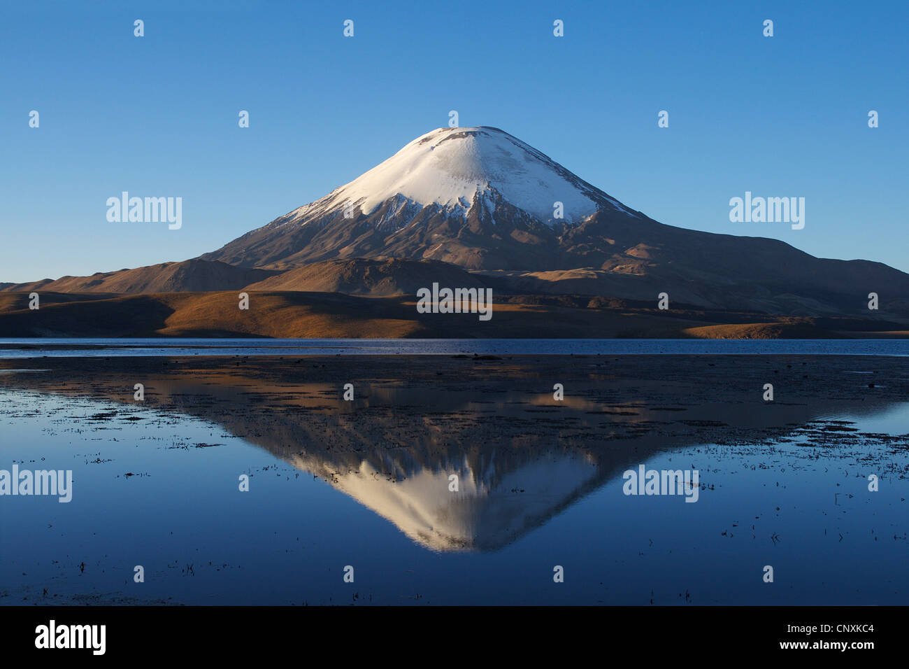 Parinacota volcano and Chungar Lake, Chile, Andes, Lauca National Park ...