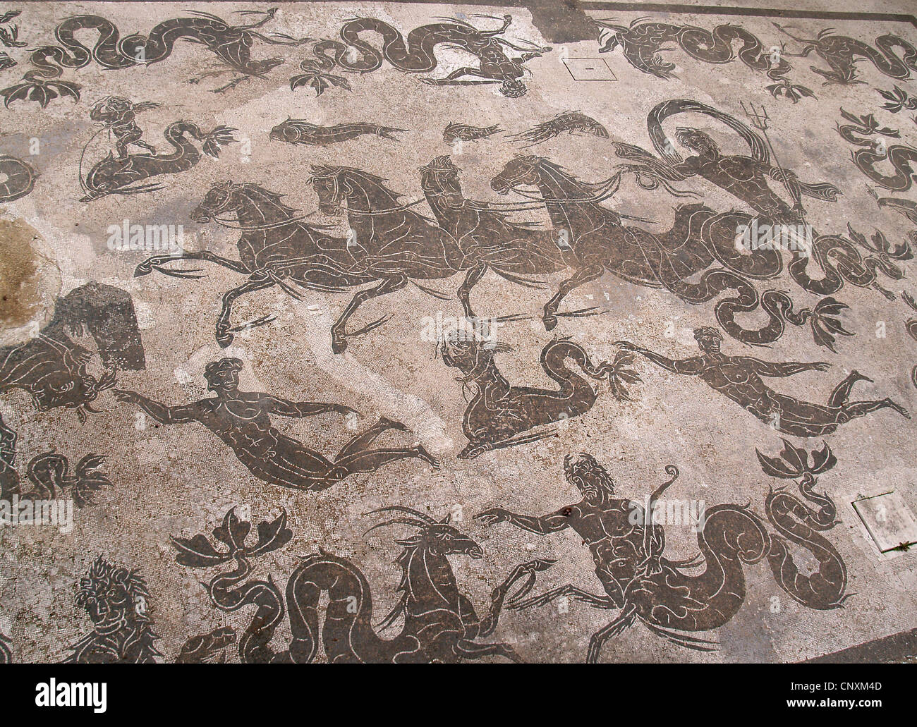 Roman tile mosaics of Neptune riding four horses,Ostia Antica,Rome ...