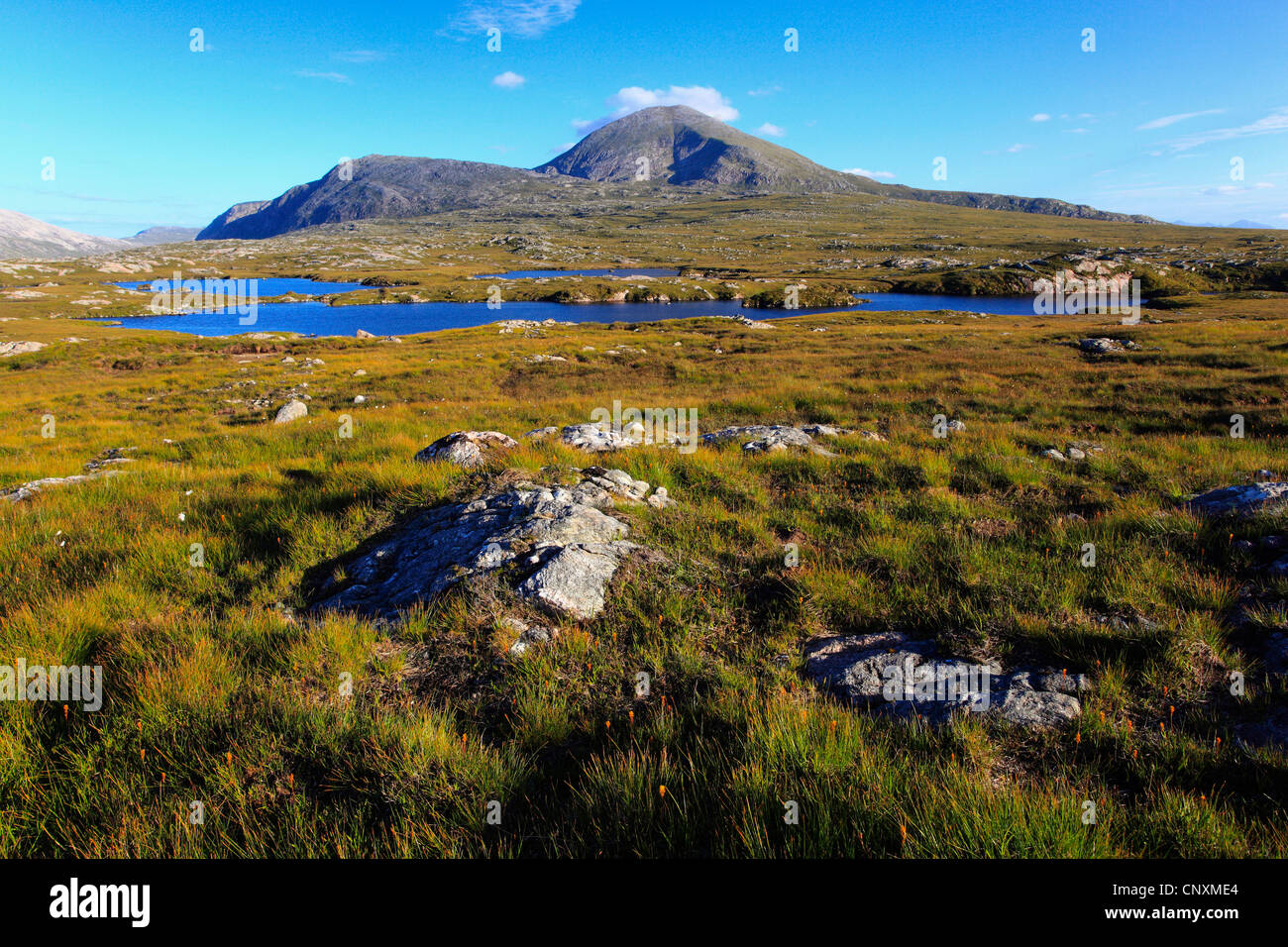 Sutherland scotland bog hi-res stock photography and images - Alamy