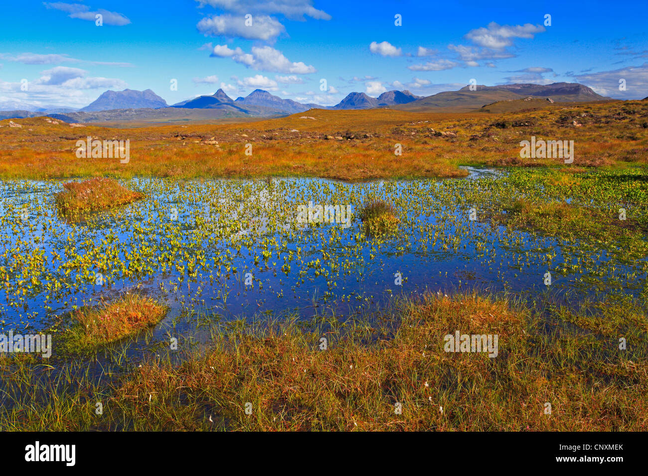 moorland in the Scottish Highlands, United Kingdom, Scotland ...