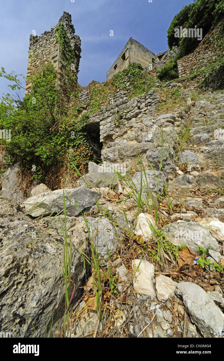 Kalnikow hi-res stock photography and images - Alamy