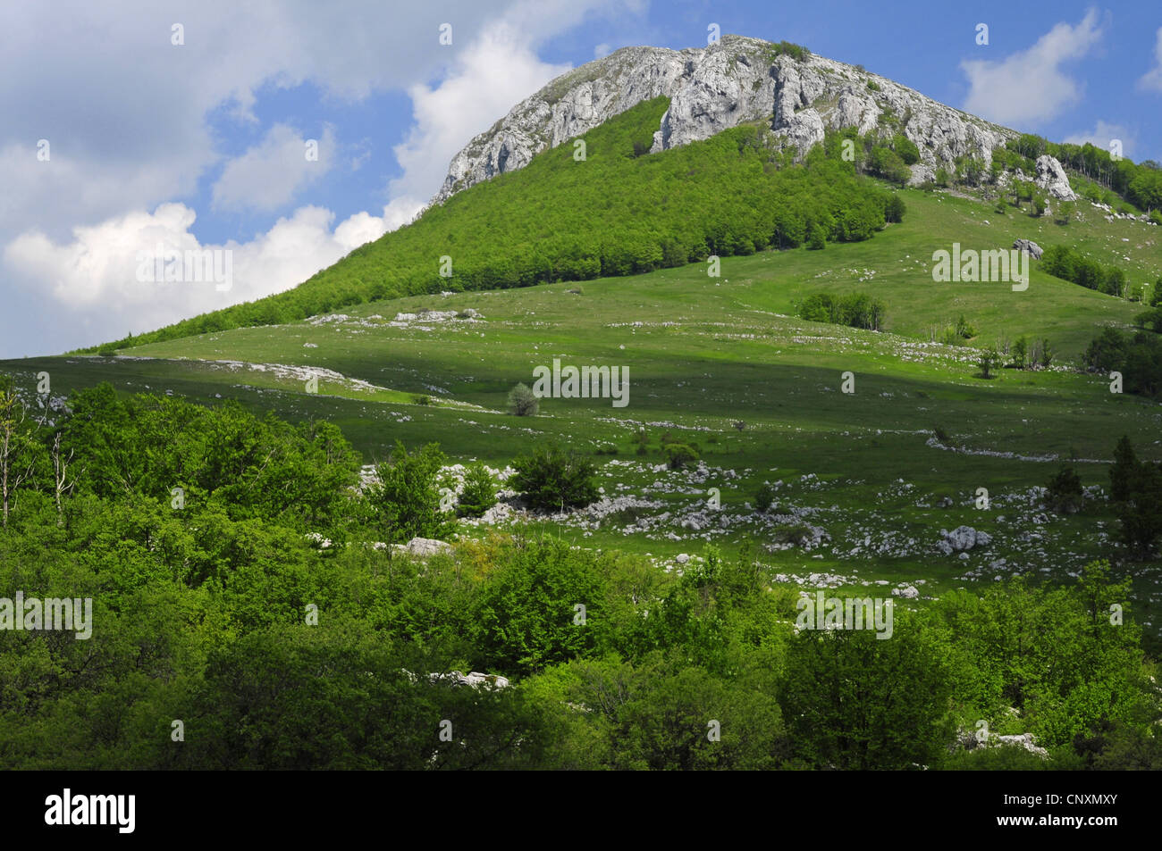 Mount postak at the velebit hi-res stock photography and images - Alamy