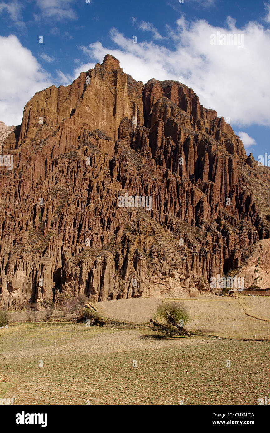 rock formations in Palca Ca on, Bolivia, Andes, La Paz Stock Photo - Alamy
