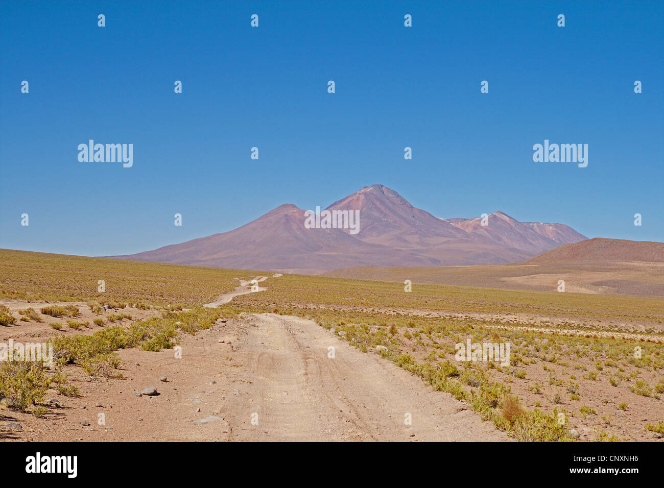 Callejn Caapa volcano, Bolivia, Andes Stock Photo - Alamy