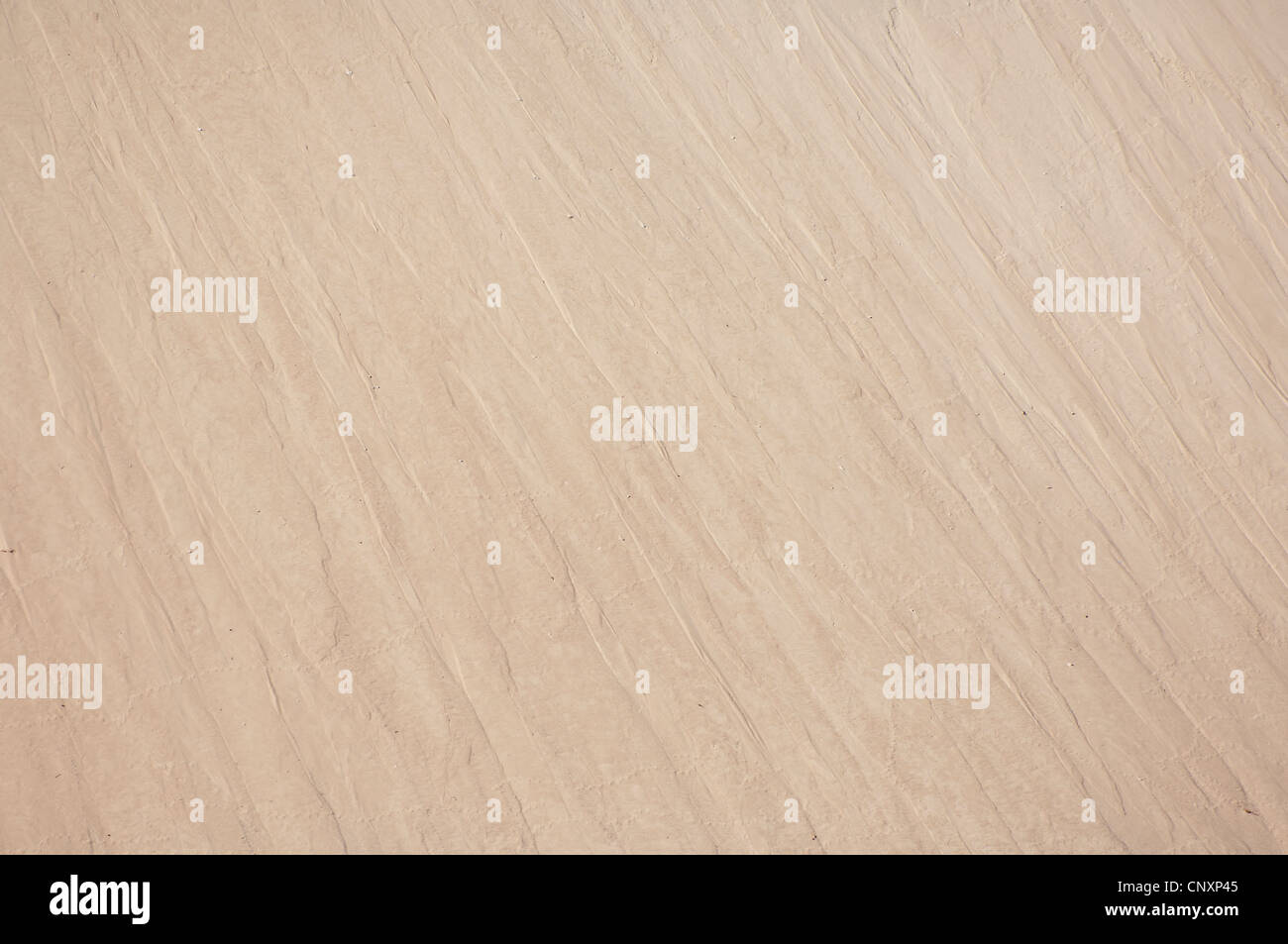 Dune detail hi-res stock photography and images - Alamy