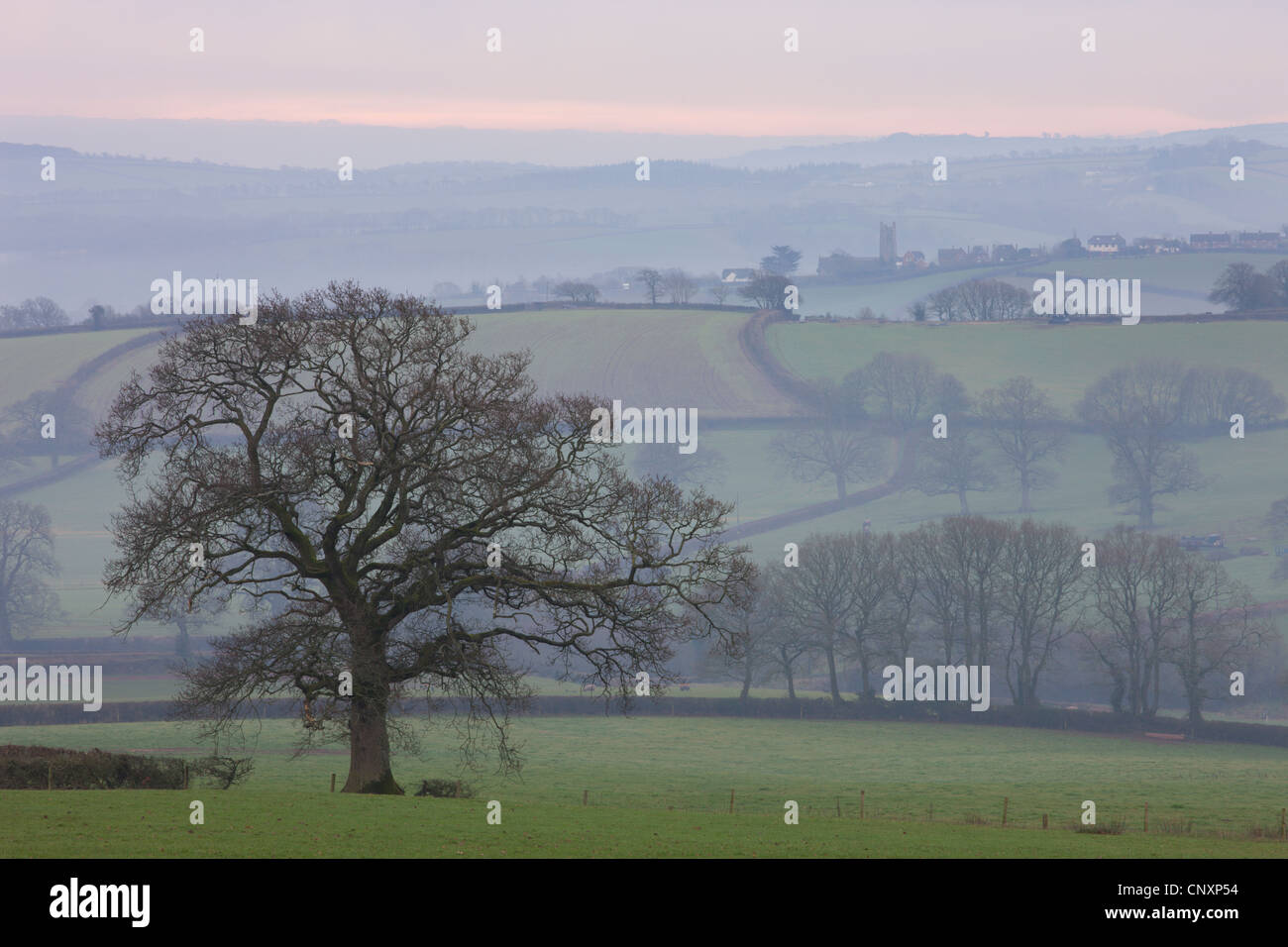 Mist covered rolling countryside near Coleford, Devon, England. Winter ...