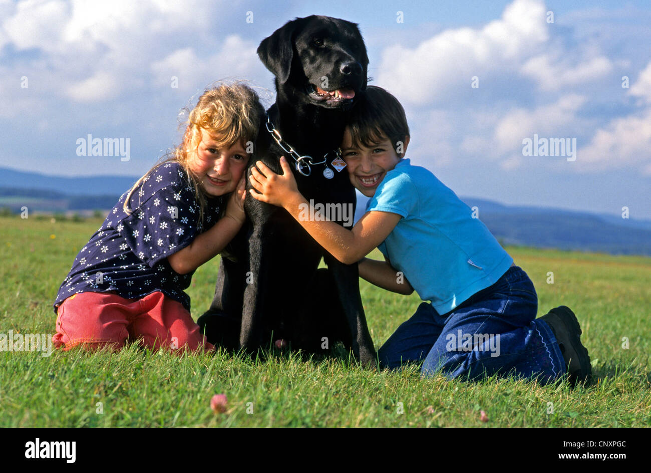 Labrador Retriever (Canis lupus f. familiaris), two children kneeing in ...