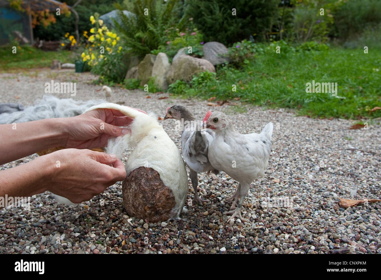 Mythical animals garden accessories hi-res stock photography and images ...