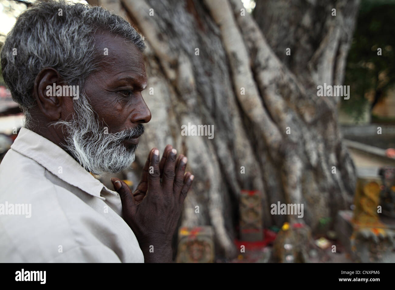Indian man in prayer South India Stock Photo - Alamy