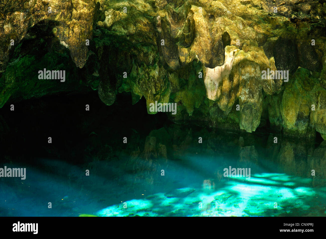 Rocks stones cave yucatan cenotes hi-res stock photography and images ...